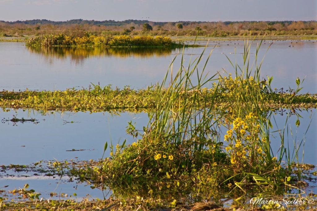 Emeralda Marsh Layers - Martin Spilker Photography