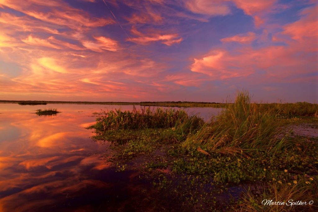 Emeralda Marsh Sunset - Martin Spilker Photography