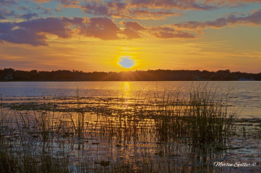 Silver Lake Saw Grass Sunset - Martin Spilker Photography
